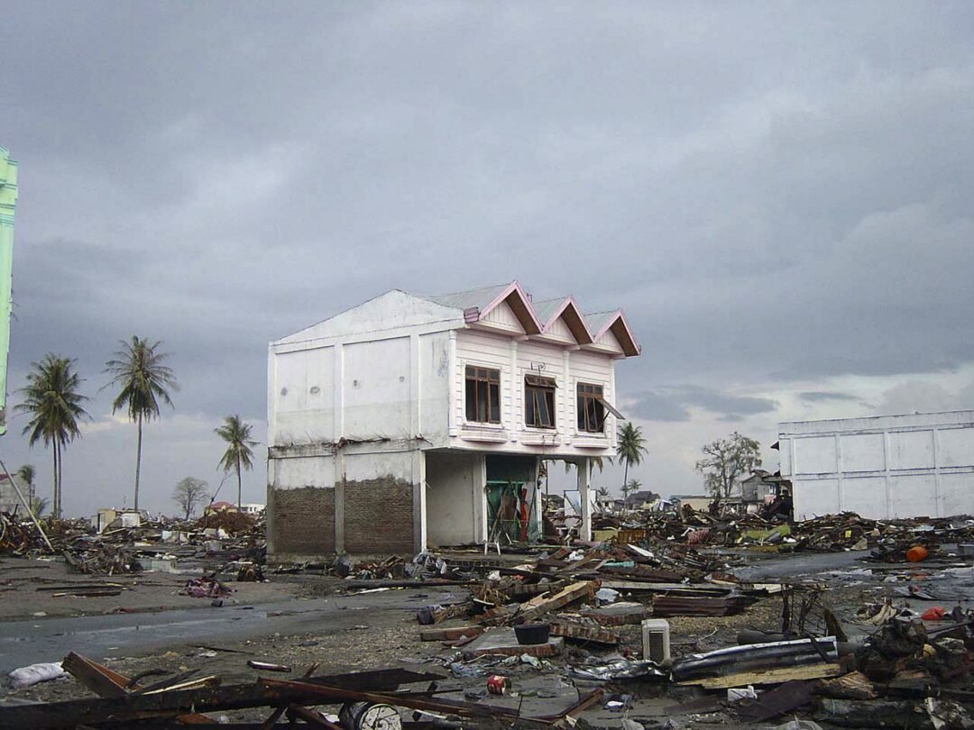 The 2004 Indian Ocean Tsunami and Earthquake Disaster