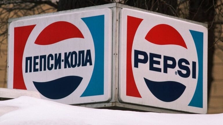 How did Pepsi obtain the 6th Largest Naval Fleet in the World?